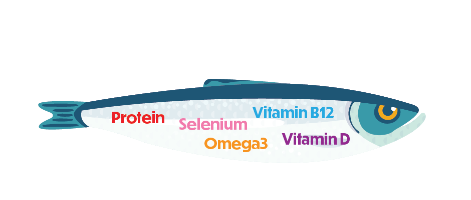 Sardine | International Fish Canners